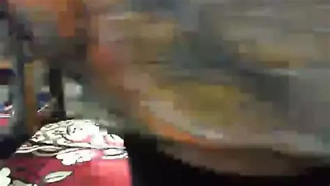 Free Sex Porn Videos 4806 Xhamster