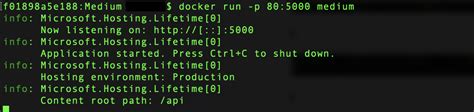 Single File Executables In Net Core 31 And The Quest For A Sub 50mb Docker Container