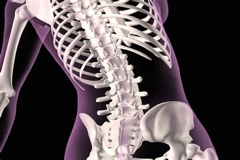 Como é feito o tratamento para osteoporose Tua Saúde