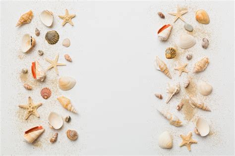 여름 시간 개념 컬러 테이블에 아름다운 불가사리와 바다 조개가있는 평평한 평지 구성 텍스트를위한 복사 공간이있는 상단 전망 Hurricane Sandy에 대한 스톡 사진 및