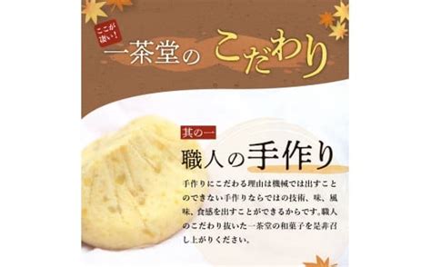 和菓子処一茶堂 中津川栗きんとん 10個入り F4n 0831 岐阜県中津川市 Kabuandふるさと納税 株がもらえるカブアンド