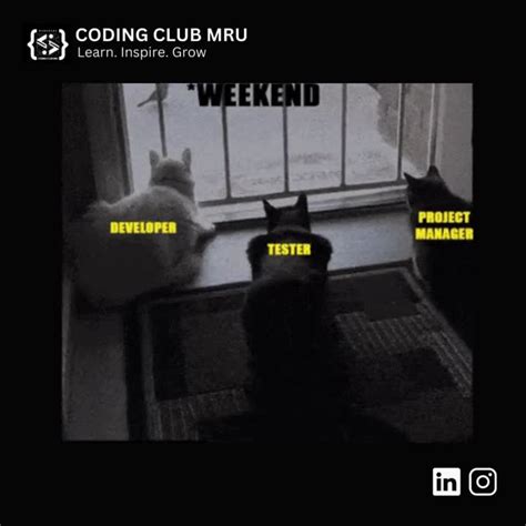 Coding Club Mru On Linkedin Techmemes Codinghumor Laughwithcode Codewithccmru Programmingfun