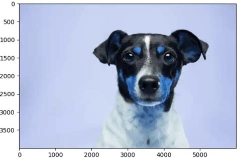 Processando Uma Imagem Digital Com O Opencv Ubiratan Tavares Python