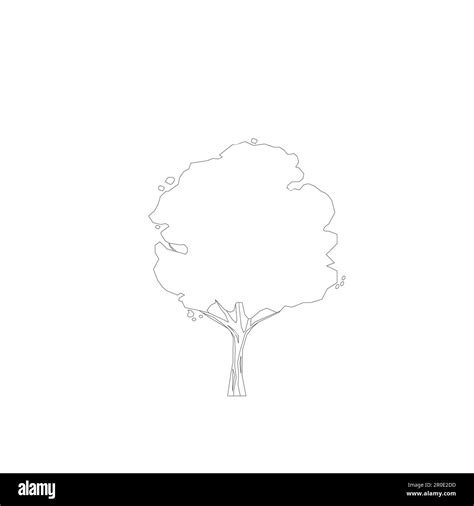 tree line drawing side view graphics trees elements single object