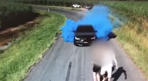 Gender Reveal Stunt Ends With Massive Fire In Australia Wkrg News 5