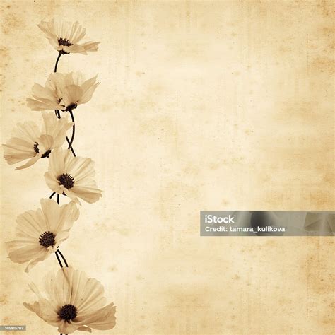 Old Paper Flower Background