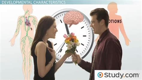 Paul Baltes And The Lifelong Development Theory Of Psychology Video And Lesson Transcript