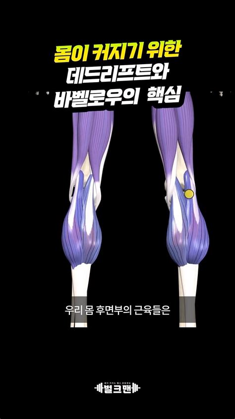 헬스하는 김머슬 헬린이를 위한 운동 정보 당신의 몸을 2배는 더 좋아지게 만들어줄 운동 Y레이즈 흉추기동성 와이레이즈
