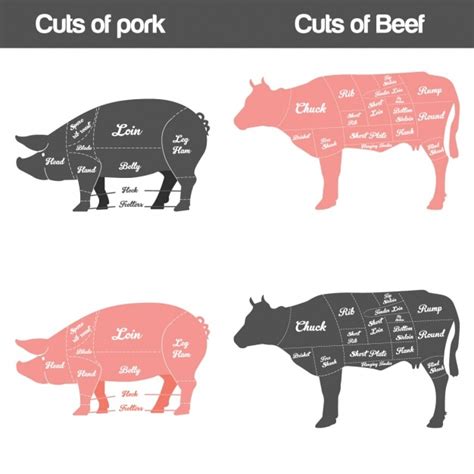 Pork Meat Cuts Poster