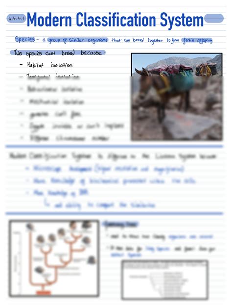 Solution Modern Classification System Studypool