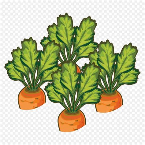 Png Png