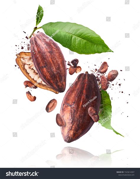 Cocoa Pod Flying Air Cracked Whole Stock Photo Shutterstock