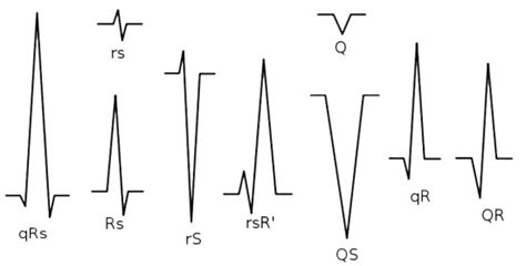 심전도 유도와 각 유도에서의 파형과 Qrs군 네이버 블로그