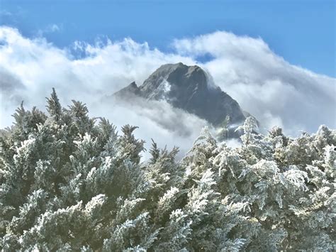 玉山早上 41度！霧淞雨淞「變銀白世界」 雲開露主峰仙境美呆 天氣預報 生活 Nownews今日新聞