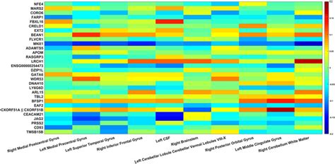 The Paired Correlation Heat Map Of Roi Gene Download Scientific Diagram