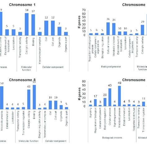 Ontology Of The Candidate Genes Within The Quantitative Trait Loci