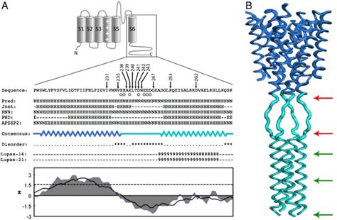 A Predicted Secondary Structure Of NaChBac CTD Based On Its Primary