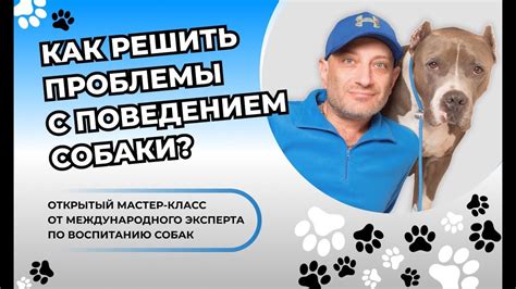 Как решить проблемы с поведением собаки? / Антуан Наджарян - YouTube