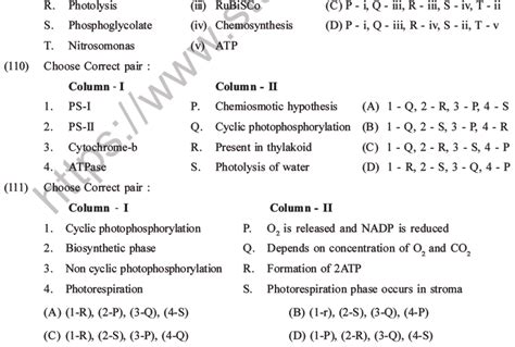 Neet Biology Photosynthesis Mcqs Set A With Answers