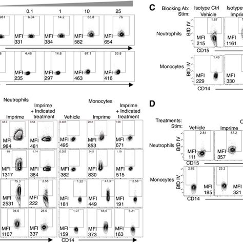 Schematic Representation Of The Complement System And Its Regulators Download Scientific
