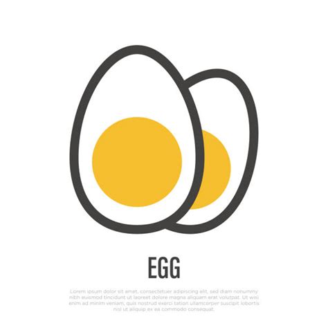 760 Hardgekookt Ei Stockillustraties Royalty Free Vector Illustraties