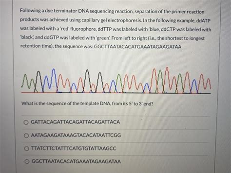 Solved Following A Dye Terminator Dna Sequencing Reaction