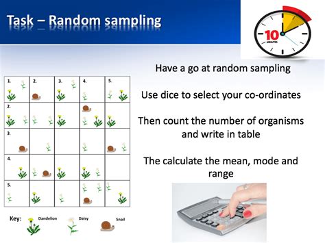 Sampling Methods Practice Worksheet