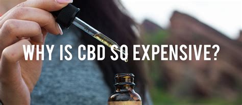 Why Is Cbd So Expensive