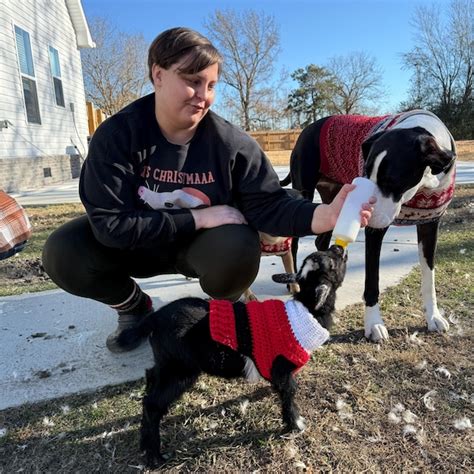 Yip Yips Mini Crochet Yip Yip With Pocket Hug Tag Multi Color Yip Yips With Tag One Mini Yip