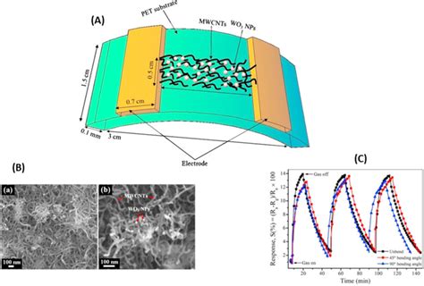 A The Flexible Sensor Schematic Diagram B Hybrid Sensor Fesem Download Scientific Diagram