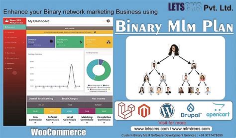 Binary Mlm Plan Code And Scripts Custom Cms Development Services