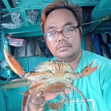 คลื่นลมเงียบแล้วครับผมมาปล่อยเสือนอนกินล่อหมึกหอมกันดีกว่าครับ By สัญ ญา