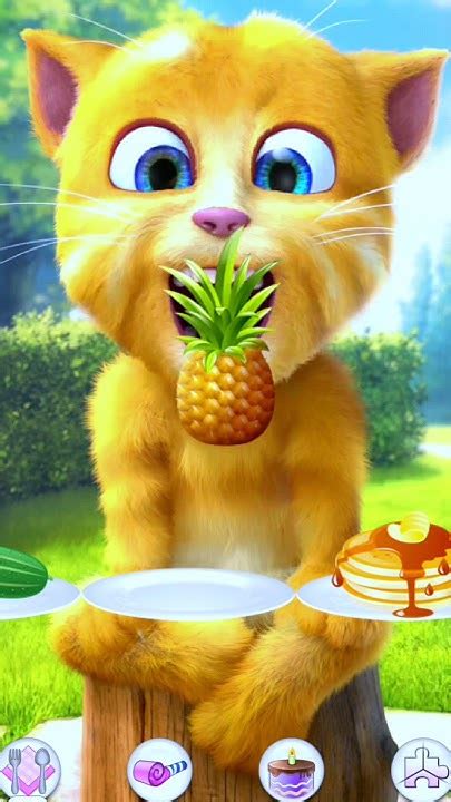 Talking Ginger Cat Eating Funny Shorts Video 🌶️🍠🧀🍇🍋🥑🍅🍆🍉🥐🥖🍍shorts Cat