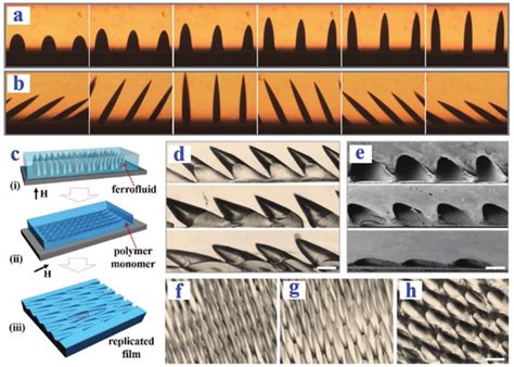 Ab Behavior Of Ferrofluid Droplet Array Under An Enhancing Magnetic Download Scientific