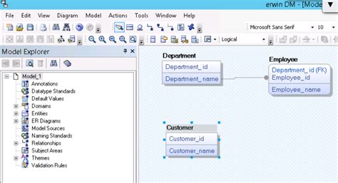 Erwin Dm Populating Entity And Attribute Definitions And Datatypes