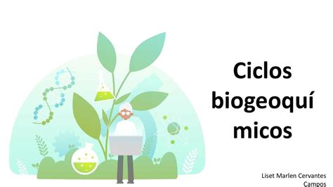 Ciclos Biogeoquímicos Liset Campos Udocz