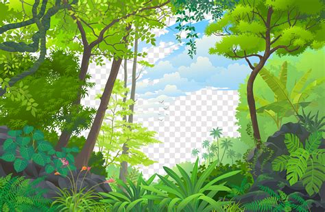 Paisagem Selva Floresta Tropical Euclidiana Tropical Floresta árvores