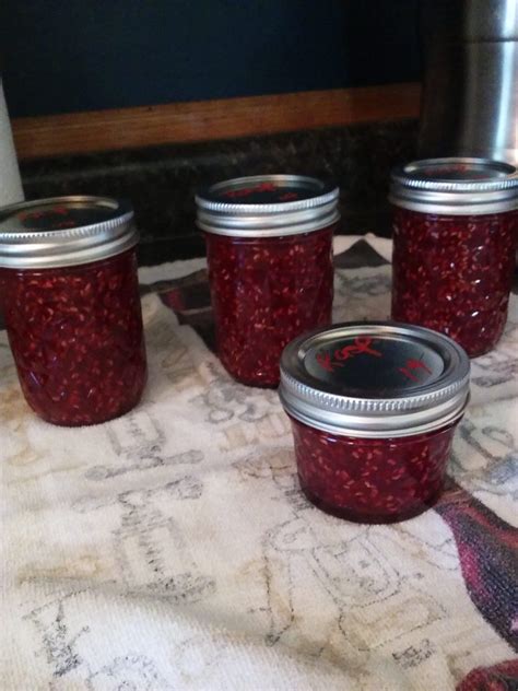 Canning And Cooking Iowa Style Old Fashioned Raspberry Jam Ball