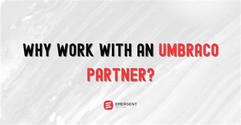 emergent software on linkedin umbraco
