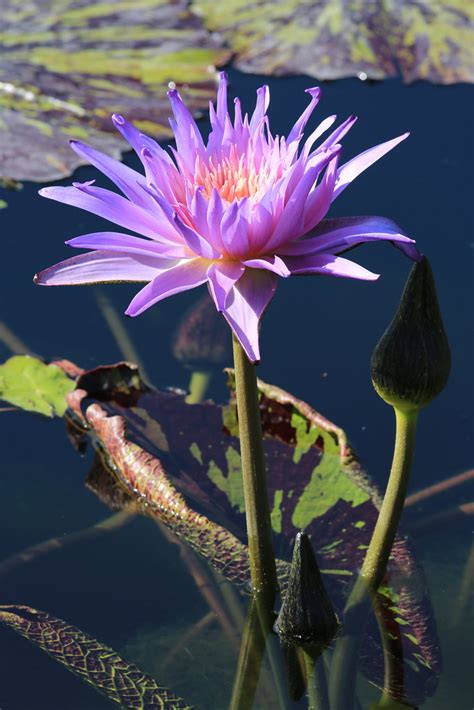 Krasse Farben Jens Eike Decken Flickr