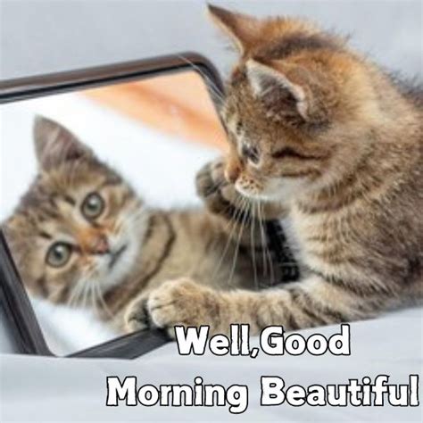Sweet Good Morning Memes For Her