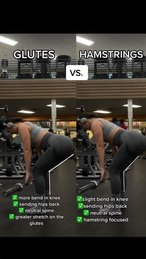 Hamstrings Vs Glutes Rdl🍑 In 2022 Gym Workouts Workout Plan Gym