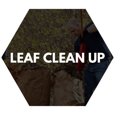 Leaf Clean Up In Solon Colin Can Help Expert Handyman And Home