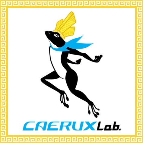 Caerux Lab Co Ltd Hanoi