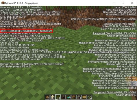 Cara Melihat Koordinat Di Minecraft Di Windows
