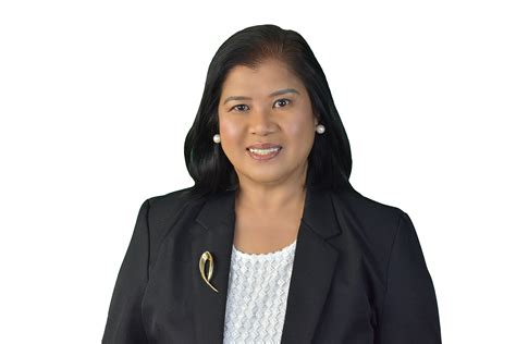 Division Memo No 219 S2025 Implementation And Monitoring Of The 2025 Summer Academic Remedial