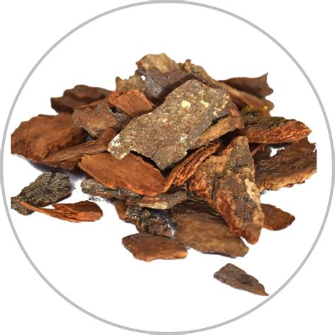 Veganic Arjuna | Terminalia Arjuna | Marudhu | Tella Maddi | Arjhan ...