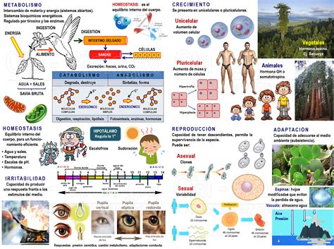 Biología didáctica Tema 02 Características de los Seres Vivos