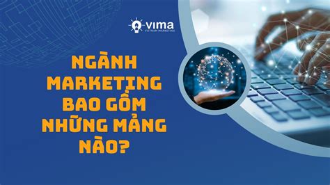 Ngành Marketing bao gồm những mảng nào