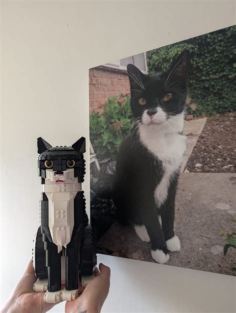Tuxedo Cat Display Case Recommendations Please R Lego